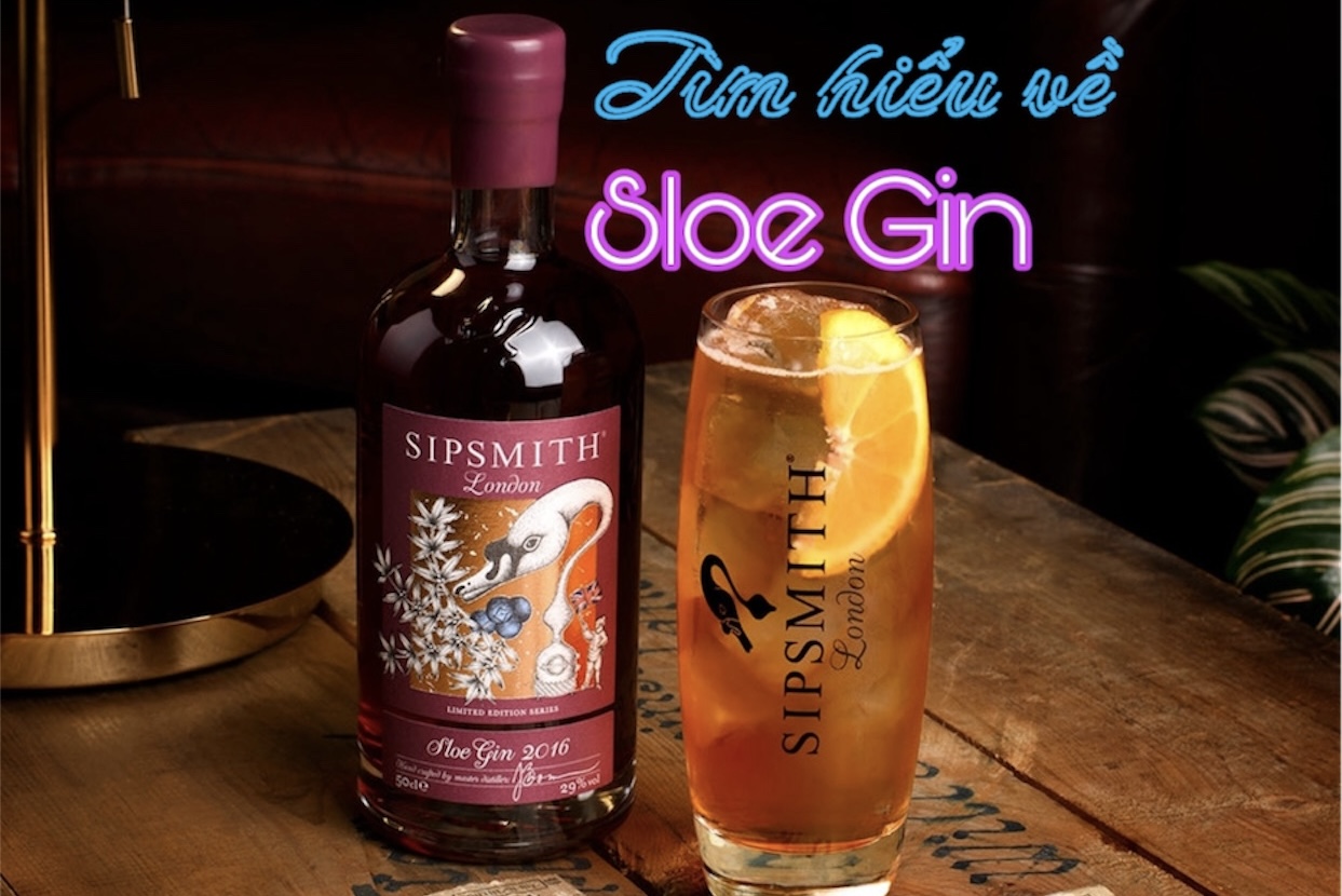 Tìm hiểu về Sloe Gin - Rượu Gin Mạnh Huynh (2025)